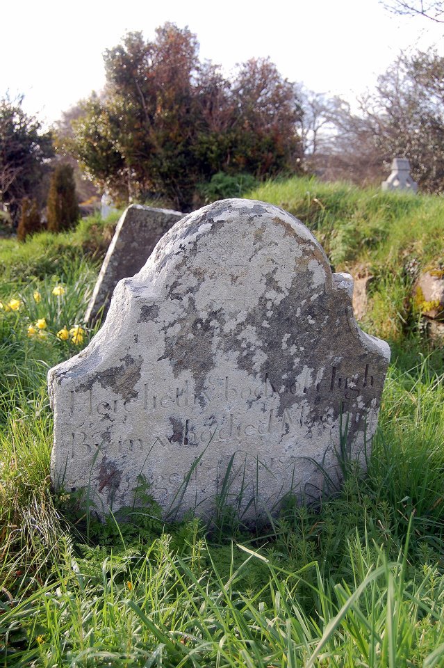 The Ancient Church Site at Clonmore, Bree – Bree Heritage